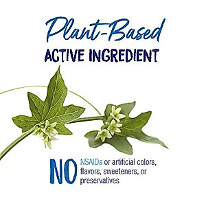 Boiron Bryonia 30C Homeopathic Medicine for Relief from Joint Pain, Muscle Aches, Arthritis Pain, and Muscle or Joint Stiffness - 80 Count (Pack of 3)