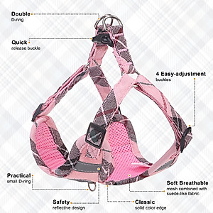 BEAUTYZOO Step in Dog Harness Collar and Leash Set for Small Medium Large Dogs, No Pull No Choke Puppy Harness, Soft Mesh Reflective Pet Padded Vest Adjustable for Doggie Girl or Boy,French Bulldog