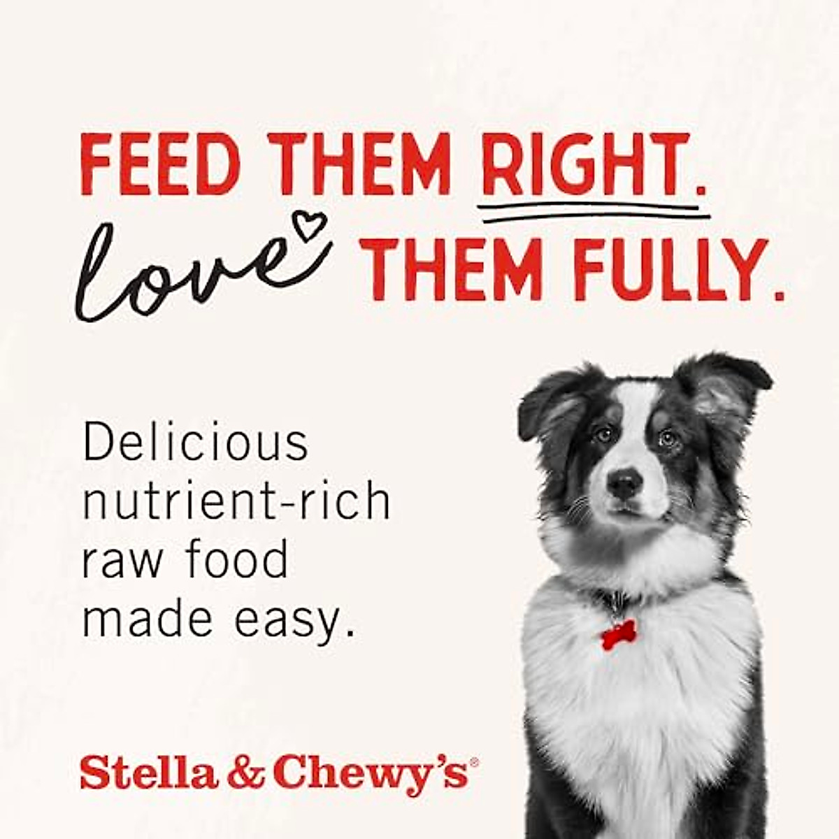 Stella & Chewy's Freeze Dried Raw Dinner Patties – Grain Free Dog Food, Protein Rich Chewy’s Chicken Recipe – 14 oz Bag