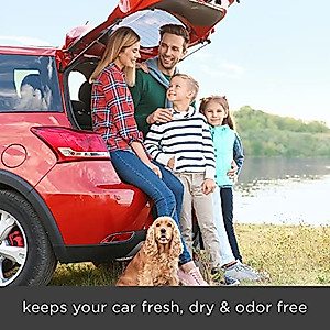 Moso Natural Car Air Purifying Bag. (2 Pack) A Scent Free Odor Eliminator + Air Freshener For Cars, Trucks and SUVs. Premium Moso Bamboo Charcoal Odor Absorber.