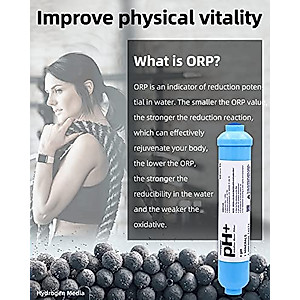 Ph+ Alkaline Water Filter Cartridge Improve Body Vitality Reverse Osmosis Filters Improves Taste Water Filter Replacement Mineralizes Water Filter Cartridge for Ro System