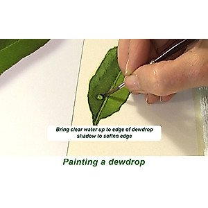 Susan Harrison-Tustain's Watercolor Masterclass Volume One. Life-like leaves, vibrant greens and 5 crucial elements for a successful painting.