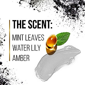 Pantene Pro-v Blends Charcoal Shampoo, 10.1 Fluid Ounce