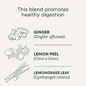 Traditional Medicinals Tea, Organic Lemon Ginger, Promotes Healthy Digestion, 16 Tea Bags