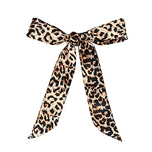 2.5X Folding Magnifier, Sliding Top Rotating Pendant Necklace Hanging Long Sweater Chain Reading Stamps Magnifying with Neckerchief