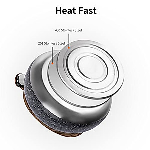 Tiilan Whistling Tea Kettle, Tea Pot for Stovetop - Stainless Steel, Wood Grain Handle, with Spout - 2.7 Quart/3 Liter, Gray