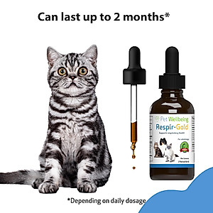 Pet Wellbeing Respir-Gold for Cats - Supports Healthy Breathing, Open Airways, Respiratory Support, Black Cumin, Horehound, Grindelia - Veterinarian-Formulated Herbal Supplement 2 oz (59 ml)