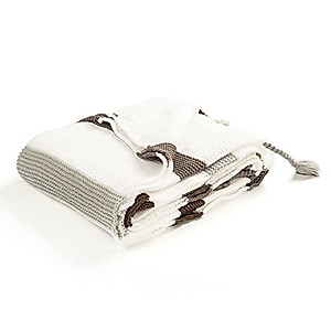 Lush Decor Boho Knitted Braided Tassel Throw Blanket, 60" x 50", Neutral