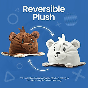 Reversible Toy Plush for Girls & Boys, Educational Mood Regulating Plushie Teddy Bear, Chocolate Scented Benji The Bear Realistic Stuffed Animal for Babies, Toddlers, Preschool, Kindergarten