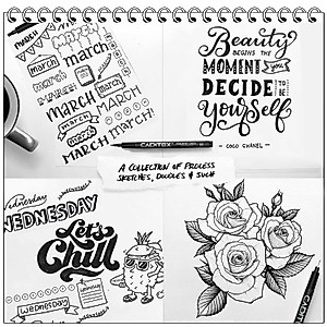 CADITEX Micro-Pen Set, 12 Size Fineliner Pens, Micro-Pens for Beginners Sketching, Writing, Drawing