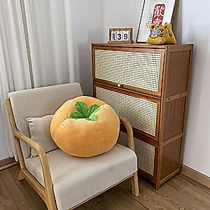 YANQUAN Tomatoes Stuffed Animal, Cute Mushroom Plushies, Cartoon Mini Food Charactors Plush Pillow Toy for Fans Gift, Christmas Stocking Stuffers Easter Birthday Gift for Boys Girls