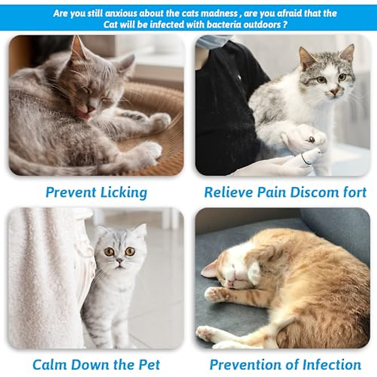 WLLHYF Cat Surgery Recovery Suit, Breathable Kitten Onesie Full Bodysuit Clothes, Post Neuter Surgery Spay Cone Anti Licking, Abdominal Wound Protector for Small Male Female Pets (Large)