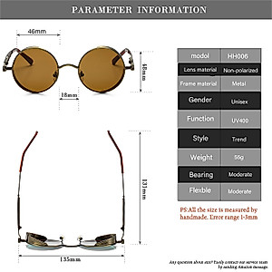 HJSTES Vintage Round Steampunk Sunglasses for Women Men Circle Gothic Glasses Retro Metal Frame(Brown Lens/Bronze Frame)