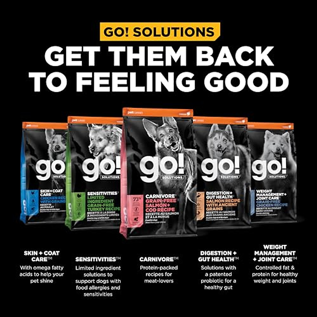Go! Solutions Carnivore Grain Free Dog Food, 3.5 lb – Salmon + Cod Recipe – Protein Rich Dry Dog Food – Complete + Balanced Nutrition for All Life Stages