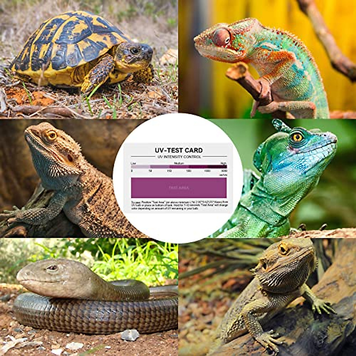 LIKZINWA UVB Sensor Card, 2-Pack Test Card of Reptile Lamp UV Sensor Reptile UVB Fluorescent Lamp