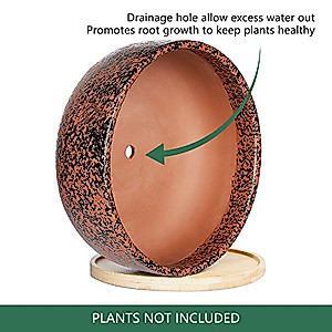 G EPGardening 8 Inch Terracotta Succulent Planter Pot with Drainage Hole Round Shallow Bonsai Planter Pot with Bamboo Saucer Flower Pot for Indoor Plants Black