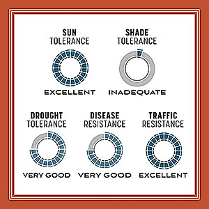 Pennington Smart Seed Bermudagrass Mix with 2x faster results 8.75 LB
