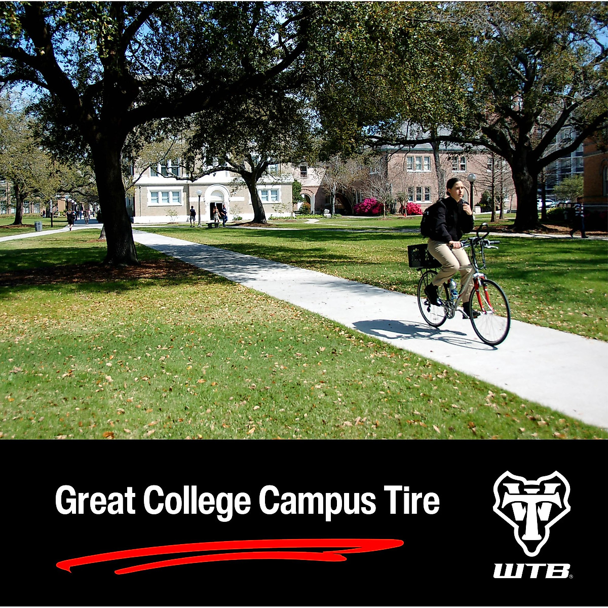 WTB Slick 29 x 2.2 Comp Tire, Black