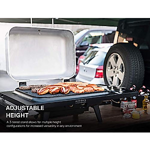 Everdure FORCE 2 Burner Gas Grill, Liquid Propane Portable BBQ Grill with Die-Cast Aluminum Body and Fast-Ignition Technology, 388 Square Inches of Grilling Surface, Adjustable Height, Orange