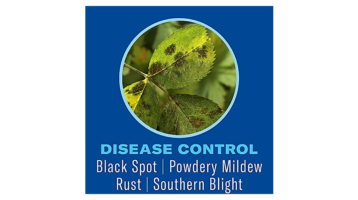 BioAdvanced Shrub Care Protect & Feed Granules - 6 Weeks of Protection ...