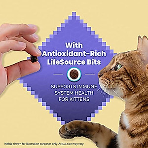 Blue Buffalo Cat Food for Kittens, Natural Chicken Recipe, High Protein, Dry Cat Food, 5 lb bag