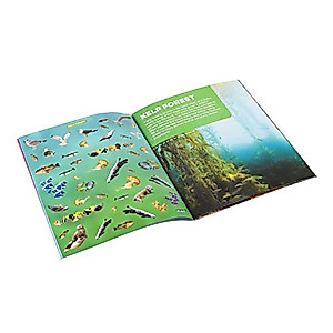 Discovery Real Life Sticker Book: Ocean (Discovery Real Life Sticker Books)