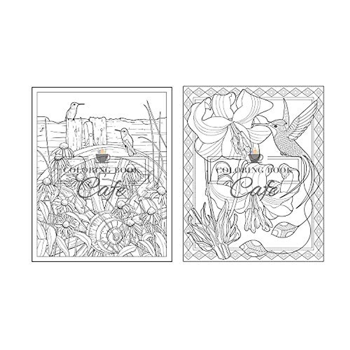 Hummingbird Coloring Book: An Adult Coloring Book Featuring Charming Hummingbirds, Beautiful Flowers and Nature Patterns for Stress Relief and Relaxation