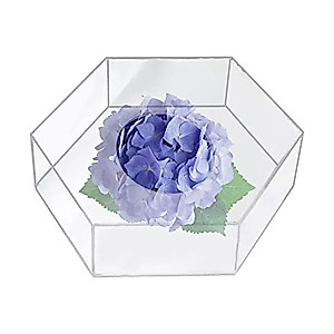 Acrylic Cake Stand, Clear Cupcake Stand Cake Holder, Cake Dessert Display Plate Serving Tray, Countertop Dessert Display Riser for Bakery Appetizer Birthday Wedding Party Baby Shower