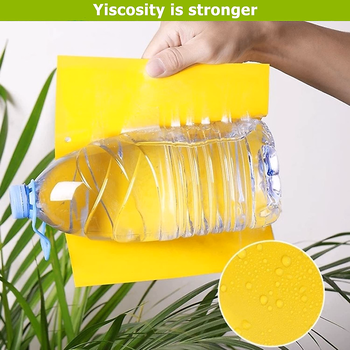 Cheechee 20-Pack Yellow Sticky Traps for Gnats, Fruit Fly Trap for Indoors/Outdoor Flying Plant Insect Killer Like Fungal Gnats, White Flies, Aphids, Leaf Miners - 6x8 in, 20pcs Twist Ties Included