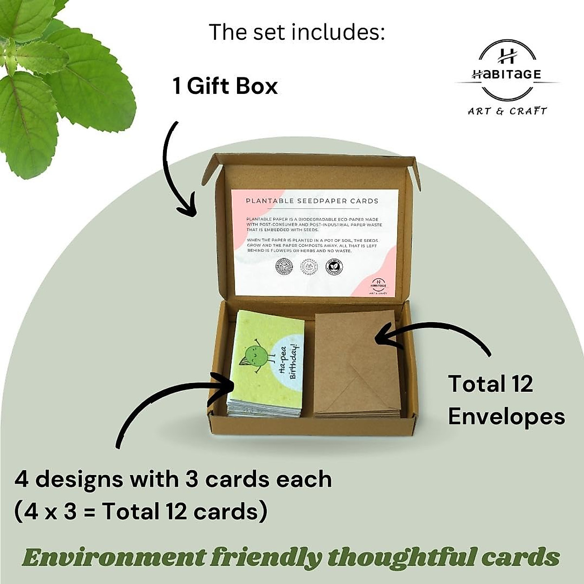 Habitage Seed Paper Birthday Greeting Cards - Set of 12 Eco-friendly Plantable Cards with Envelopes and Gift box | Variety Pack | Recycled Paper Embedded with Holy Basil seeds
