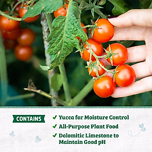 Back to the Roots 100% Organic Potting Mix (6 Quart) | Premium Blend | Made in The USA