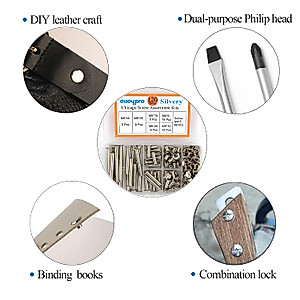 Alloypro 120 Pcs (60 Pair) M5 x 6/10/15/25/35/45 Silvery Phillips Chicago Screws Binding Screw Posts,Scrapbook Photo Albums Binding Screws Assorted Kit 6 Sizes for Leather Saddles Purses Belt Repair