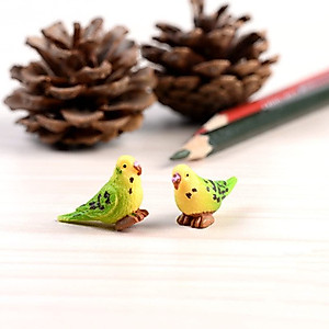 Miniature Parrot Fairy Garden Accessories, Mini Parrot Figurine for Fairy Garden Decoration, Cake Topper, Landscape Decor, DIY Crafts, Car Decoration, Moss Landscape,Bonsai Craft Decor,Terrarium