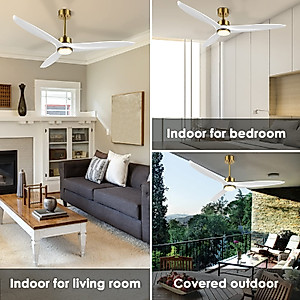 WINGBO 60 Inch DC Ceiling Fan with Lights and Remote Control, 3 Reversible Carved Wood Blades, 6-Speed Noiseless DC Motor, Modern Ceiling Fan in Brass Finish with White Blades