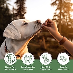 Aloha Medicinals K9 Immunity, Immune Support Supplement for Dogs, Organic and Mushroom Enhanced Dog Health Supplies, Pack of 1, 90 Capsules Each