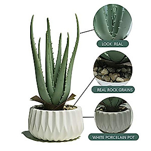 Suntimber Artificial Fake Plant Decor,Aloe Faux Plants in Elegant Ceramic Pot for Bathroom Shelf Decor, Desk Plant for Home & Office Decor - Artificial Fake Succulent Potted
