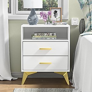 Giluta White Night Stand with 2 Drawers,15.75" D x 19.7" W x 24" H Modern Nightstand for Bedroom, Bedside Table Organizer with Storage