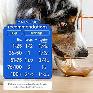 Native Pet Bone Broth for Dogs & Cats – Dog Bone Broth Powder - Dog Food Topper for Picky Eaters – Cat Broth & Dog Broth - Puppy Dog Gravy Topper for Dry Food – Beef Broth for Dogs & Cats – 9.5 oz