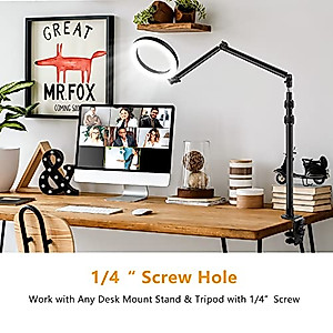 Obeamiu Camera Desk Mount Stand with 24.41'' Detachable Magic Arm, Mount Light Stand with 360° Ballhead, 16.7-40.1'' Tabletop Clamp Stand for DSLR Camera/Fill Lights/Selfies/Live Streaming/Webcam