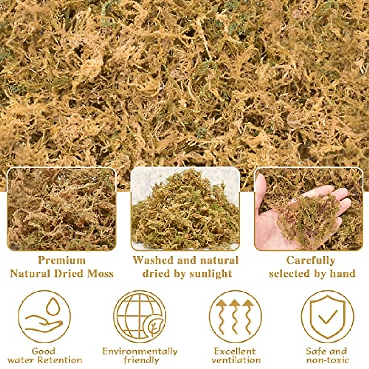 ZeeDix 2QT Dried Moss for Potted Plants Terrarium Decor Plant Natural Sphagnum Moss Potting Mix Soil for Carnivorous Plant, Orchid, Sarracenia, Succulent, Reptiles