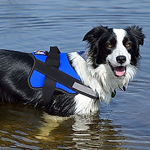 Bolux Dog Harness, No-Pull Reflective Dog Vest, Breathable Adjustable Pet Harness with Handle for Outdoor Walking - No More Pulling, Tugging or Choking (Blue, S)