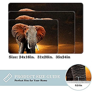 Kenya Old Large Elephant Sunset, Indoor Door Mat Durable Front Door Mats Entryway Rug Non-Slip Absorbent Area Rugs Resist Dirt Rugs for Room Decor, 24"x16"