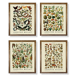 Vintage Botanical Wall Art - Mushroom Poster Room Decor - Butterfly Wall Decor - Flower Botanical Posters Aesthetic - Floral Plants Pcitures for Kitchen Dining Room - Lemon Goblincore Cottagecore