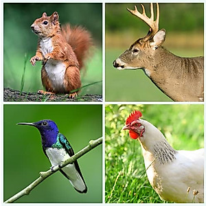 GreatBuddy Garden Netting, 7 x 50ft Deer Fence Netting Anti Birds, Squirrels, Deer or Other Animals, Perfect for Garden Plants Fruit Trees Vegetables Protection, Heavy Duty and Reusable