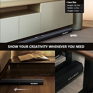 【Wider Style】 RAUBAY 78.7 x 78.7in Large Collapsible Black Backdrop Screen Portable Retractable Panel Photo Background with Stand for Video Conference, Photographic Studio, Streaming