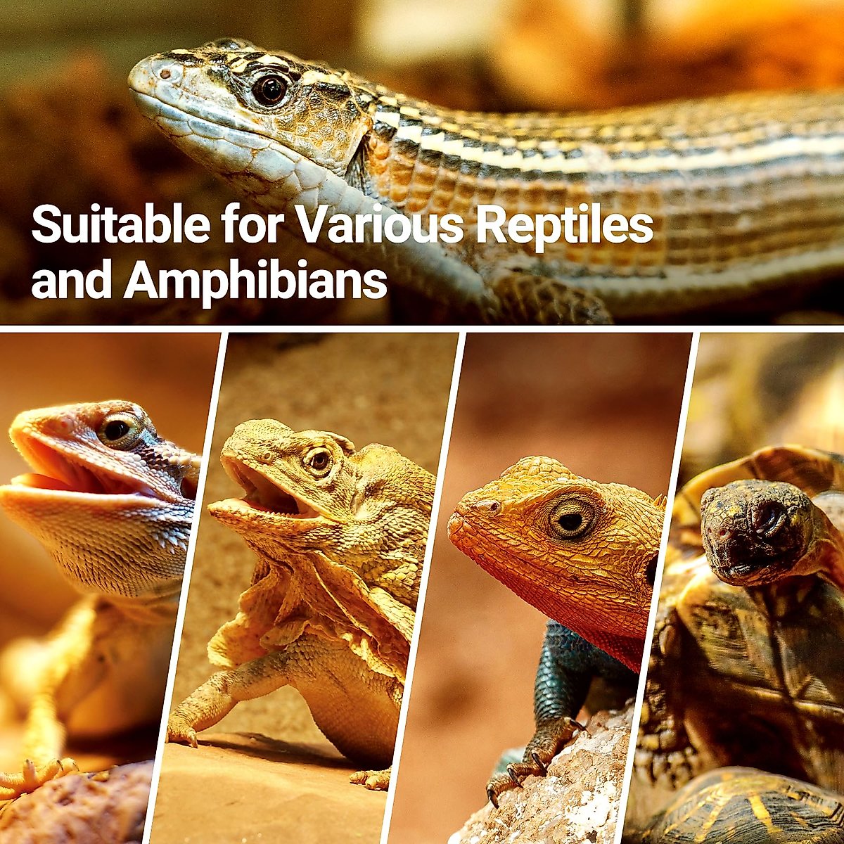 REPTI ZOO 50W Reptile Heat Lamp Bulb,2 Pack Intense Spot Basking Light,UVA Daylight Heating Lamp Bulb for Reptile & Amphibians & Chicken Brooder,Bearded Dragon, Lizard, Tortoise