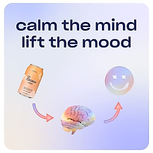 Recess Mood Magnesium Supplement Drink Calming Beverage, 12 Ounce, Pack of 12 (Variety Pack, 12 Pack) *Original Flavors*