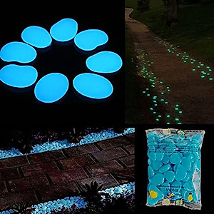 WenErJie Glow in The Dark Rocks, 100PCS Fairy Garden Decorations Stones, Outdoor Decor for Patio Stepping Stone Kit, Pebbles for Plants/Yard/Backyard/Fish Tank/Pool Stuff (Blue/100pcs)