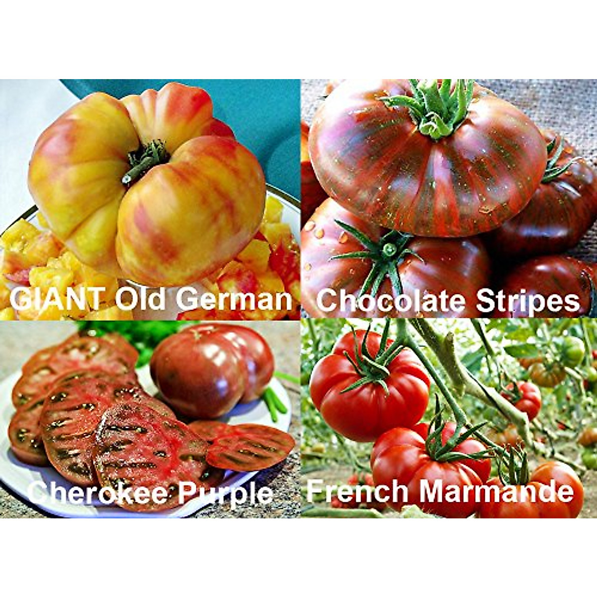 This is A Mix!!! 30+ Rainbow Deluxe Tomato Seeds Mix 16 Varieties, Heirloom Non-GMO, Indeterminate, Old German, Chocolate Stripes, Ukrainian Purple, Amish Paste USA