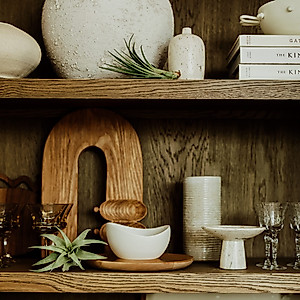 ragnaroc Live Air Plants - Tillandsia Gift Box TOR Variety Pack - 10 Count Large 3-5 inches – Live Indoor Plants & Live 15 inch Spanish Moss – Live Plants for Home décor, Live Arrival Guaranteed